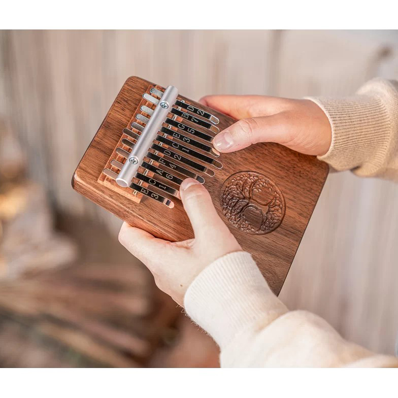 Kalimba Meinl Sonic Energy KL1001TOL, Solid Kalimba C Major 10-Notes ...